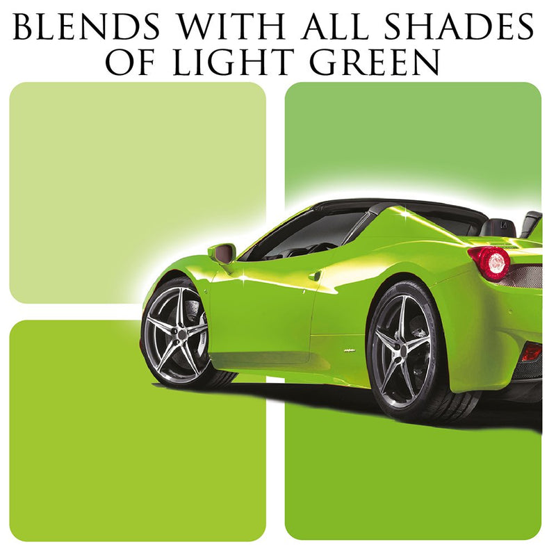 Diamond Custom - Light Green Paint Restorer | Vehicle Paint Restoration ...